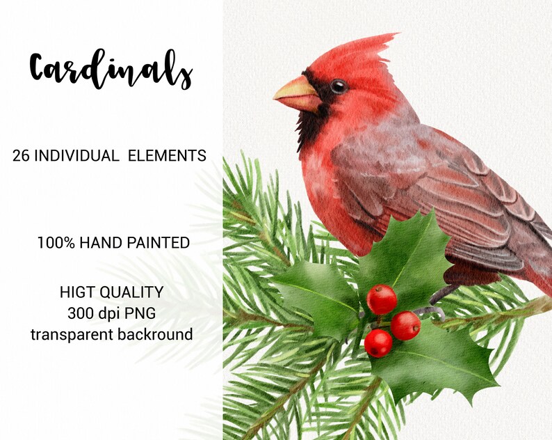 Watercolor Red Cardinals Clipart, Christmas Birds Clip Art, Winter ...