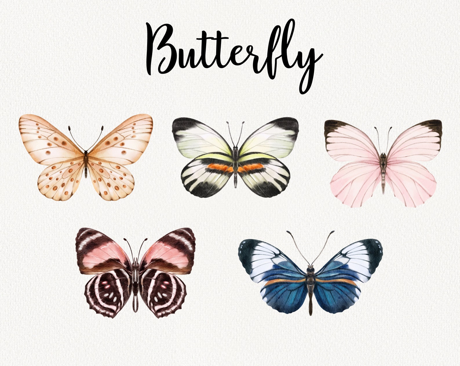 Watercolor Butterfly Clipart Summer Clip Art Romantic - Etsy