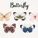 Watercolor Butterfly Clipart Summer Clip Art Romantic - Etsy