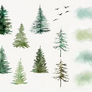 Watercolor Forest Tree Clipart, Pine Tree Clipart, Woodland Pine Trees ...
