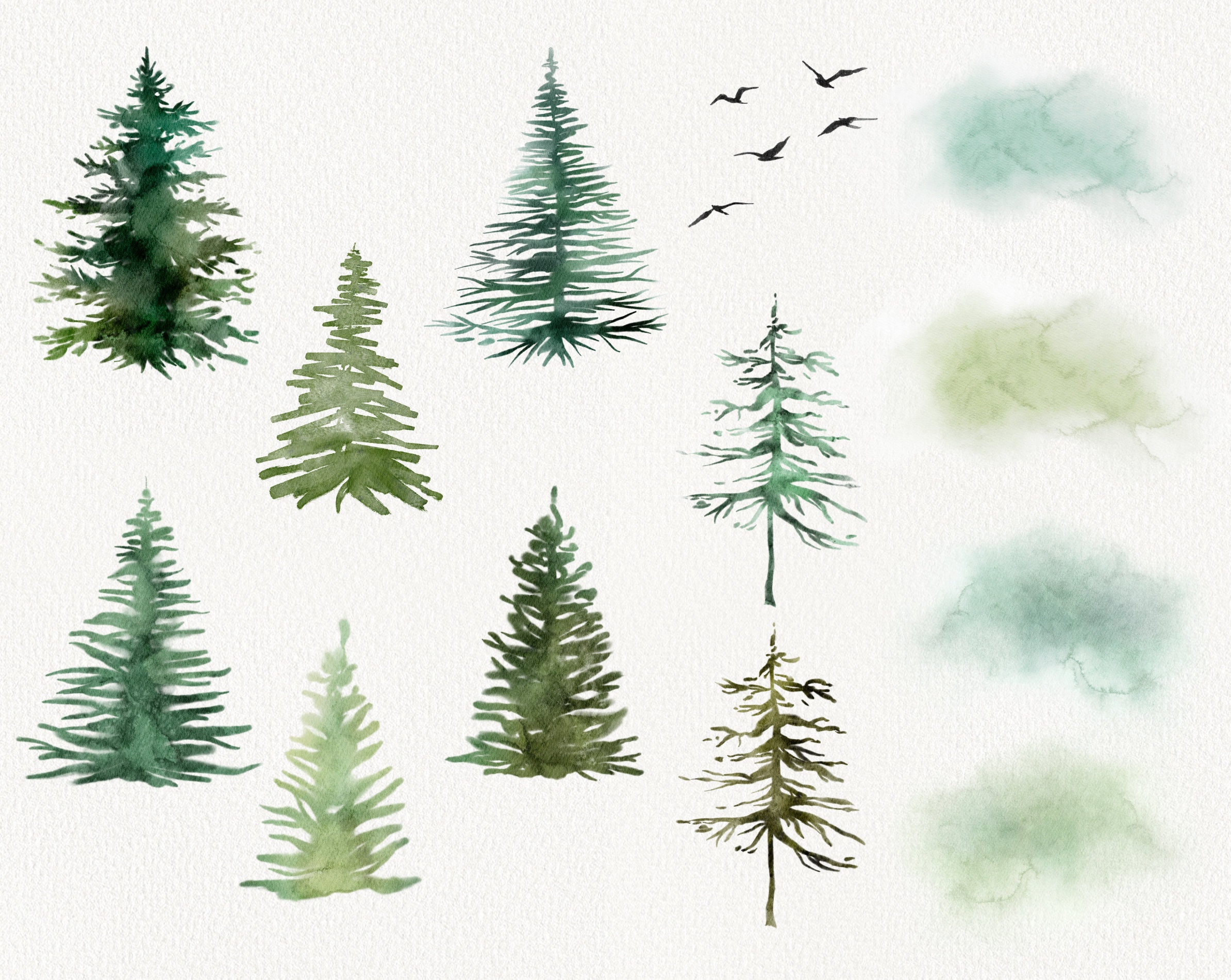 Watercolor Forest Tree Clipart Pine Tree Clipart Woodland - Etsy