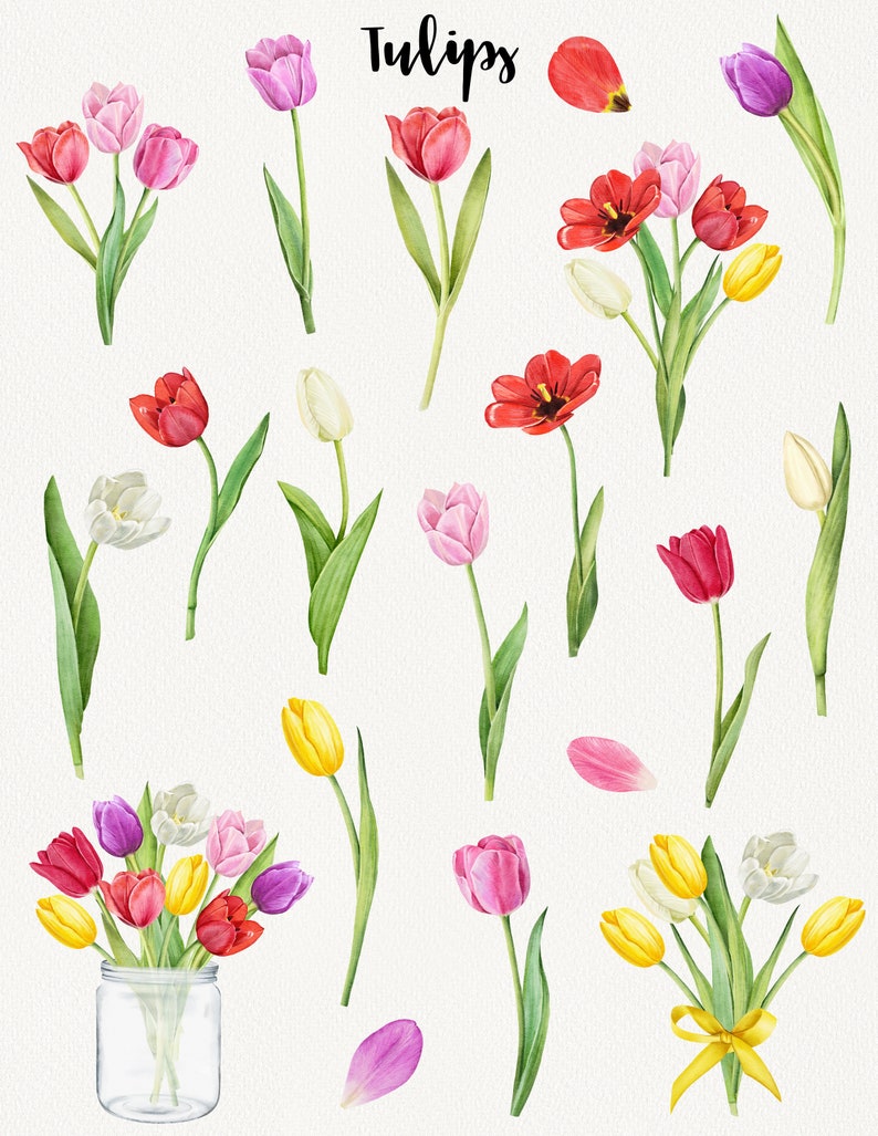 Watercolor Tulip Clipart, Easter Spring Flowers, Mothers Day, Tulips ...