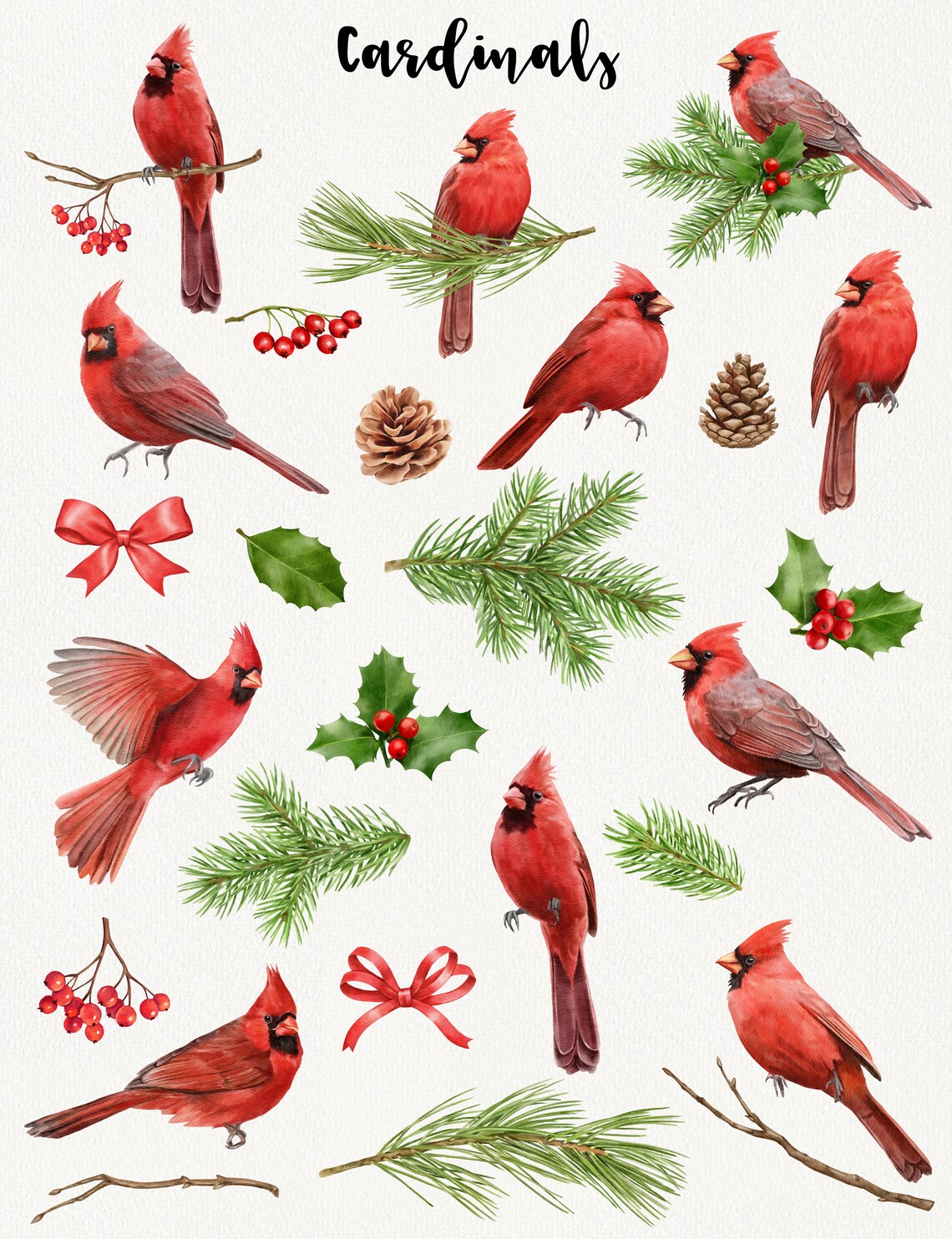 Watercolor Red Cardinals Clipart, Christmas Birds Clip Art, Winter ...