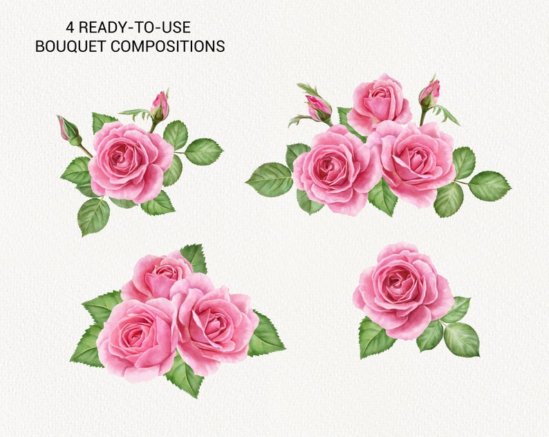 Watercolor Pink Roses Clipart Vintage Flower Bouquet PNG - Etsy