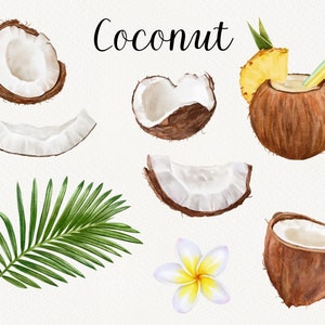 Coconut Watercolor Clipart, Summer Fruit Clip Art, Tropical Leaves ...