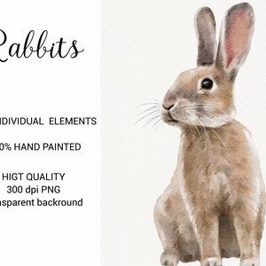 Watercolor Easter Clipart, Cute Bunny Clip Art, Rabbit, Spring Graphics ...