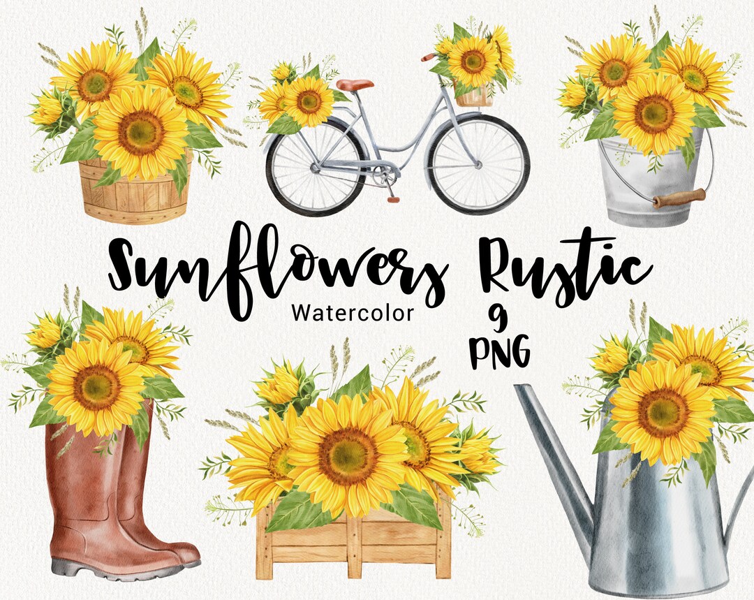 Watercolor Sunflowers Clipart, Autumn Rustic Clip Art, Fall Harvest ...