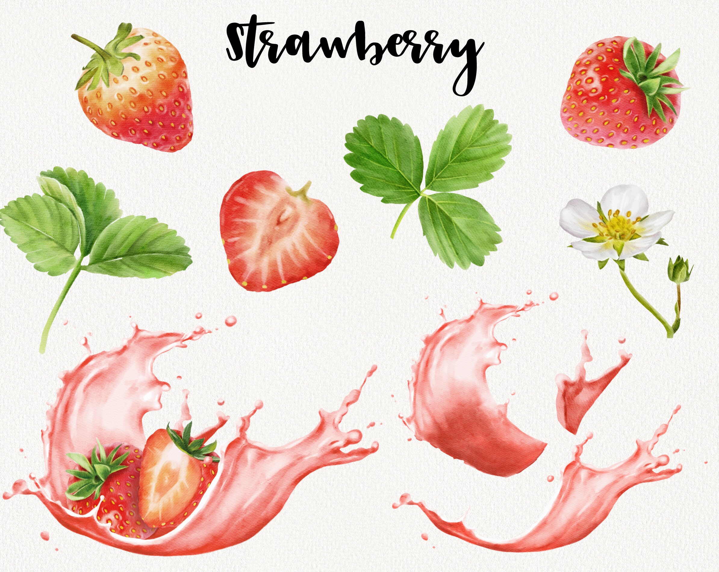 Watercolor Strawberry Clipart Spring Fruit Clip Art Summer - Etsy