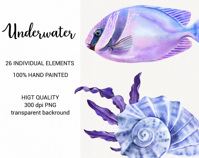 Watercolor Underwater Clipart Nautical Clip Art Sea Life - Etsy