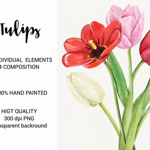 Watercolor Tulip Clipart, Easter Spring Flowers, Mothers Day, Tulips ...