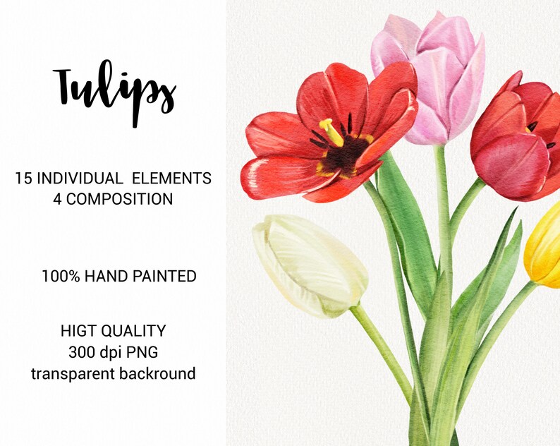 Watercolor Tulip Clipart, Easter Spring Flowers, Mothers Day, Tulips ...