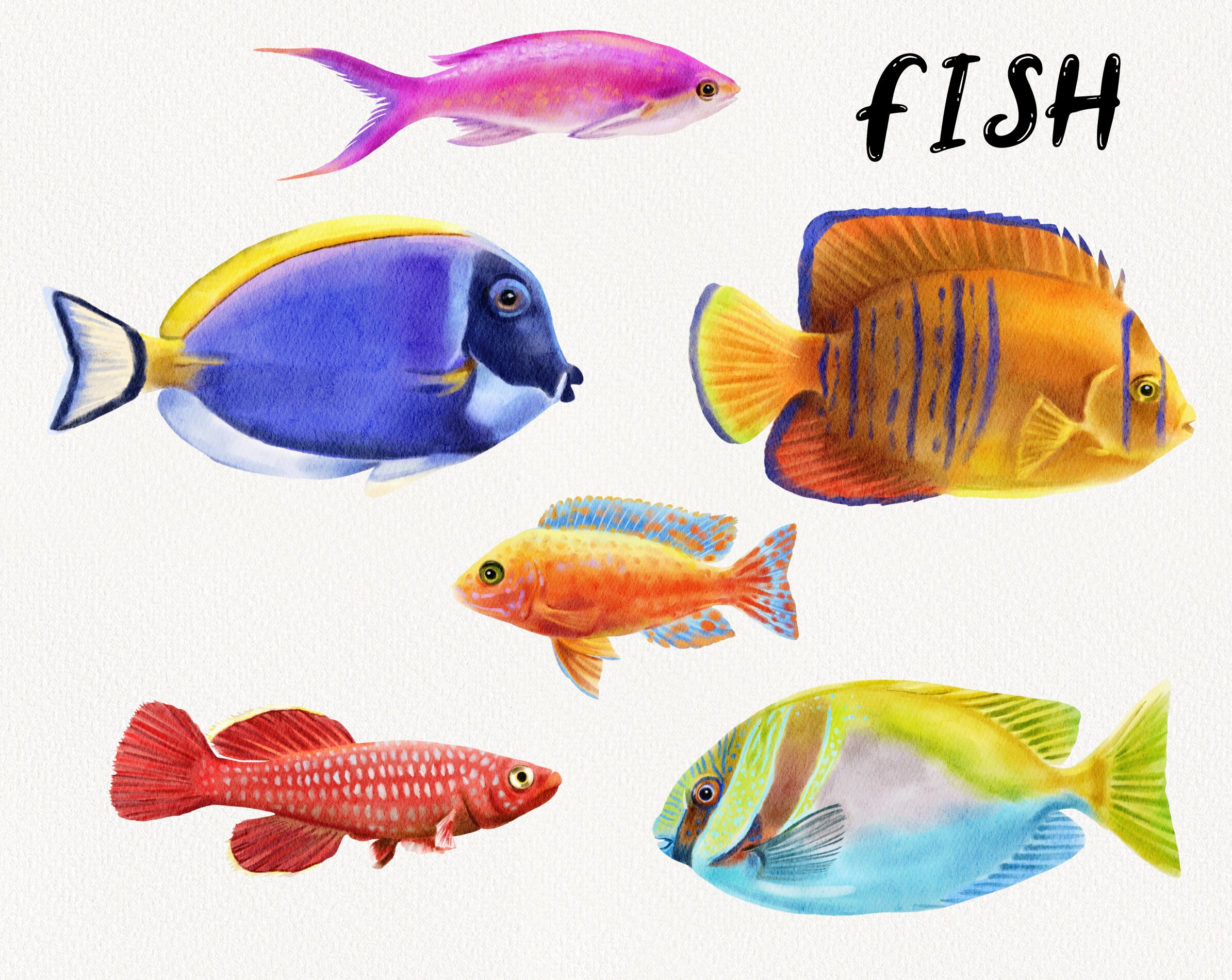 Watercolor Fish Clipart Ocean Clip Art Sea Life Animals - Etsy