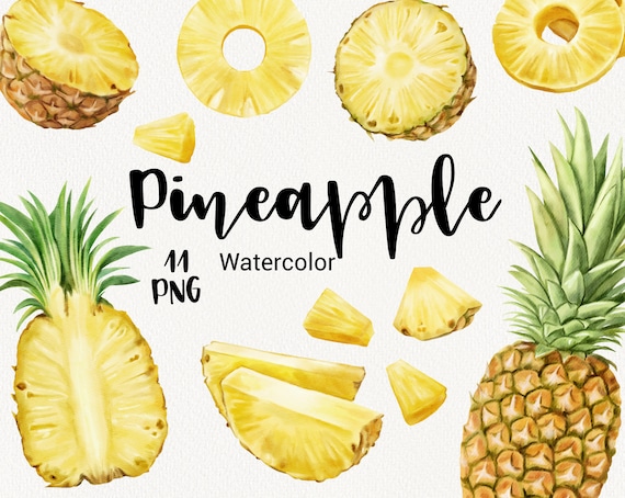 Watercolor Pineapple Clipart Tropical Fruit Clip Art Summer - Etsy