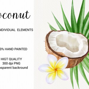 Coconut Watercolor Clipart, Summer Fruit Clip Art, Tropical Leaves ...