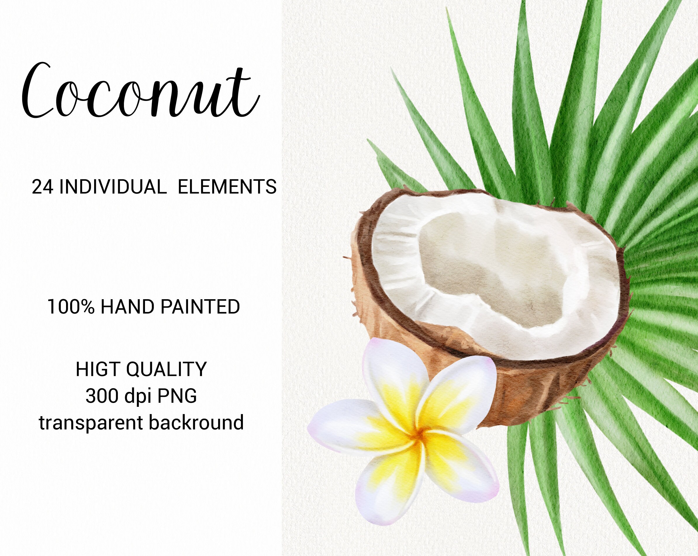 Coconut Watercolor Clipart Summer Fruit Clip Art Tropical - Etsy