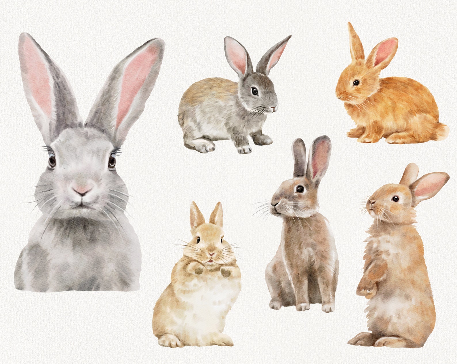 Watercolor Easter Clipart, Cute Bunny Clip Art, Rabbit, Spring Graphics ...