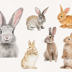 Watercolor Easter Clipart, Cute Bunny Clip Art, Rabbit, Spring Graphics ...