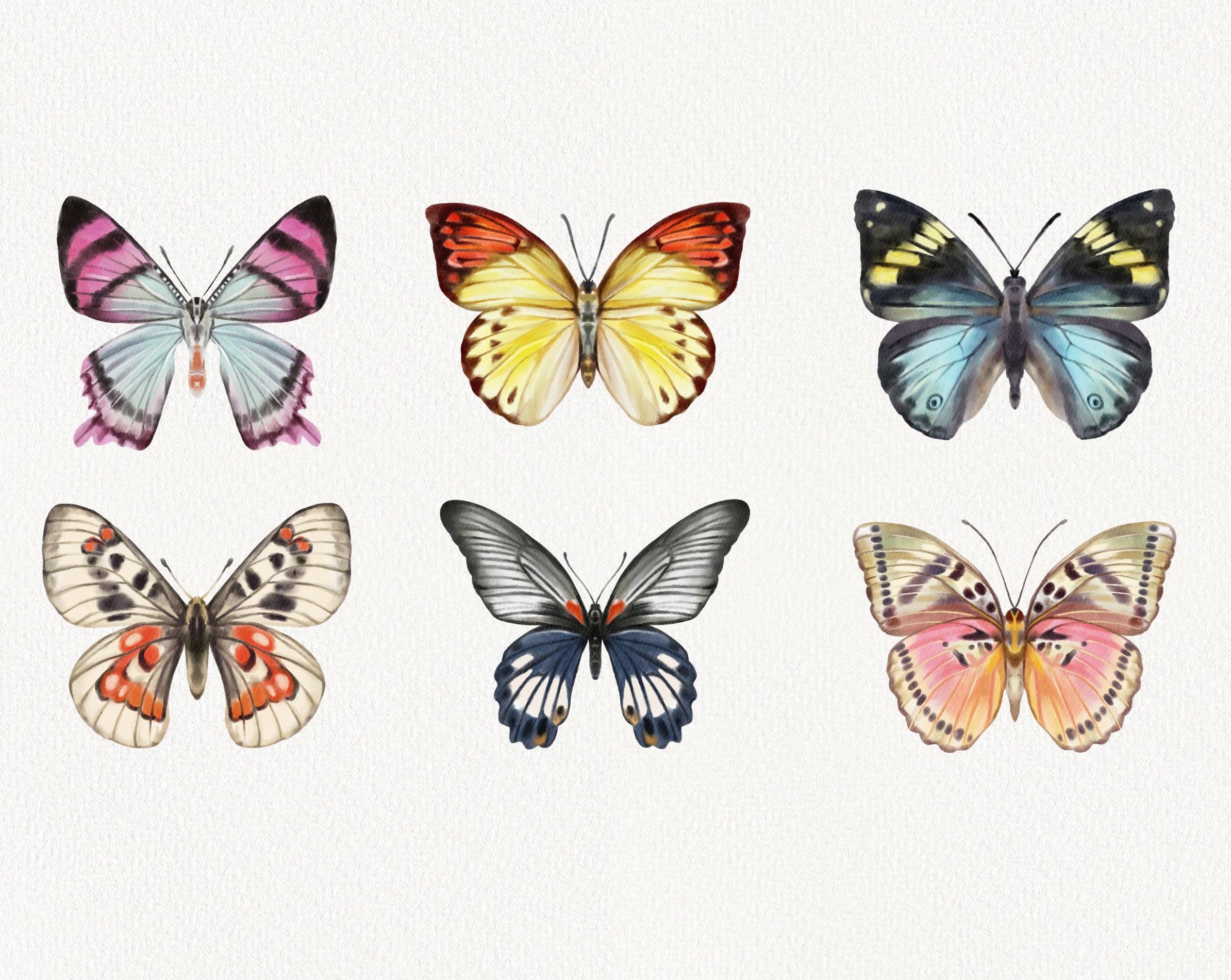 Watercolor Butterfly Clipart, Summer Clip Art, Romantic Butterfly, Hand ...