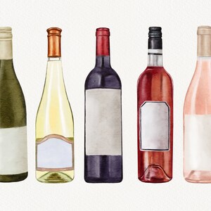 Watercolor Wine Clipart, Alcohol Party, Wine and Cheese Clip Art ...