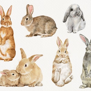 Watercolor Easter Clipart, Cute Bunny Clip Art, Rabbit, Spring Graphics ...