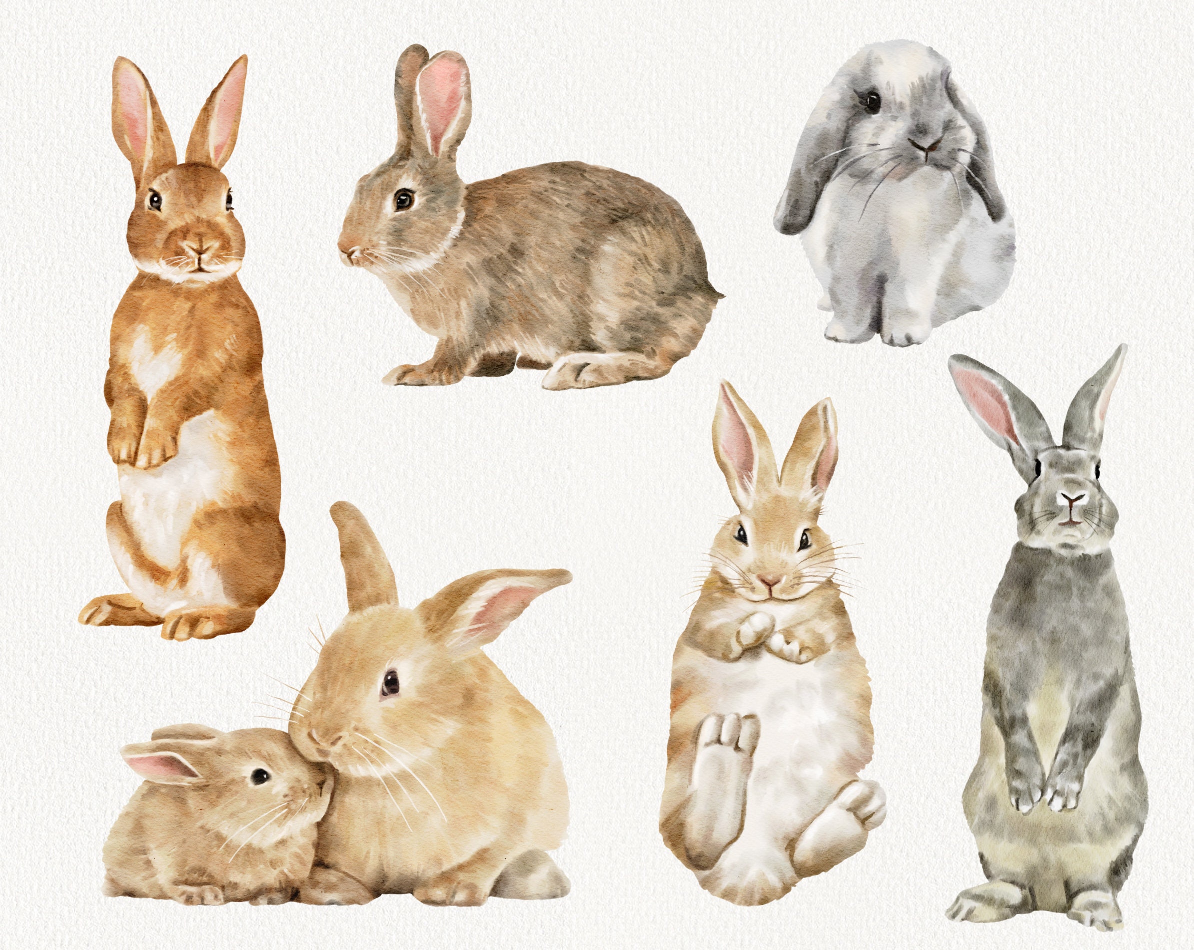 Watercolor Easter Clipart, Cute Bunny Clip Art, Rabbit, Spring Graphics ...
