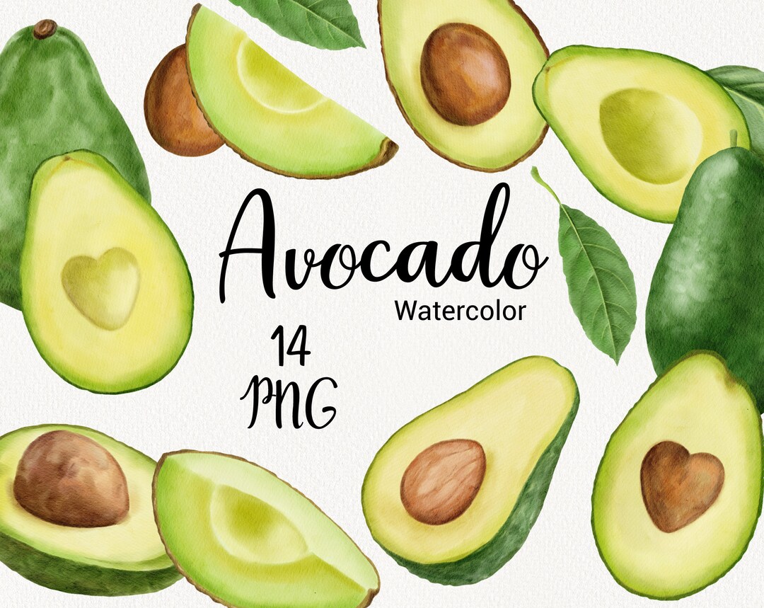 Watercolor Avocado Clipart, Tropical Fruit Clipart, Summer Clip Art ...