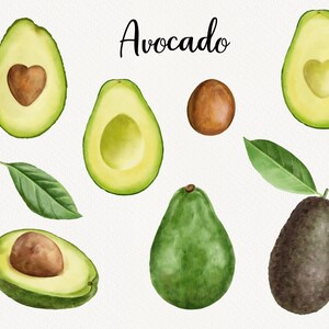 Watercolor Avocado Clipart, Tropical Fruit Clipart, Summer Clip Art ...
