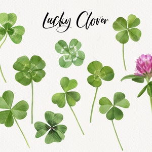 Watercolor Clover Clipart, St. Patrick's Day Clip Art, Shamrock, Green ...