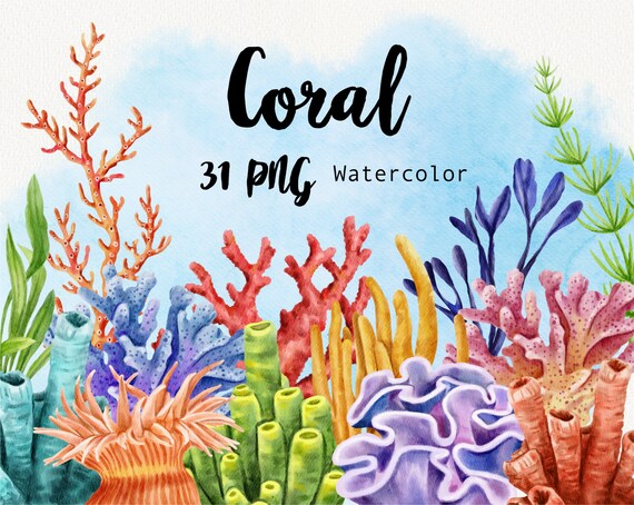 Watercolor Coral Reef Clipart Under the Sea Life Clip Art - Etsy