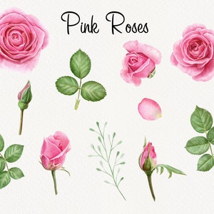 Watercolor Pink Roses Clipart, Valentine's Day Flower Clip Art, Vintage ...