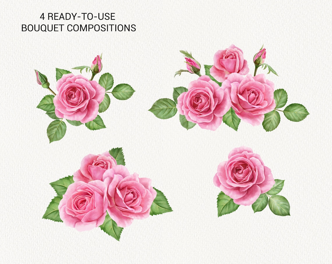 Watercolor Pink Roses Clipart Valentine's Day Flower Clip - Etsy