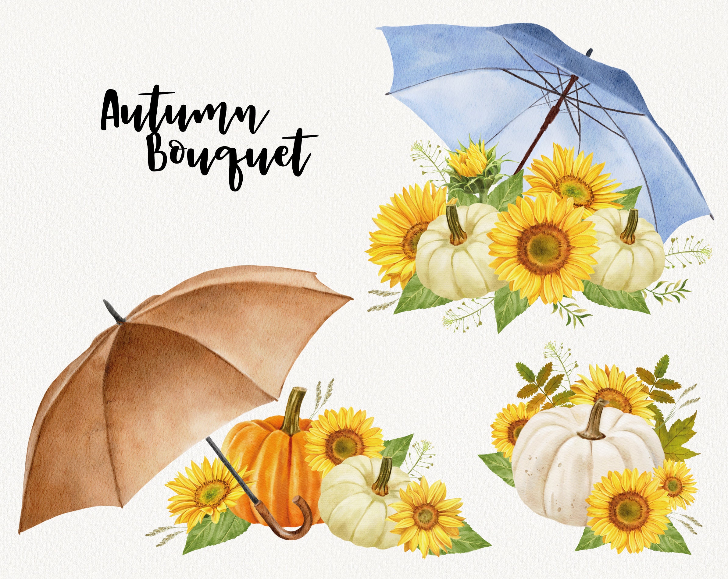 Watercolor Autumn Clipart Pumpkin Clip Art Fall Sunflowers - Etsy