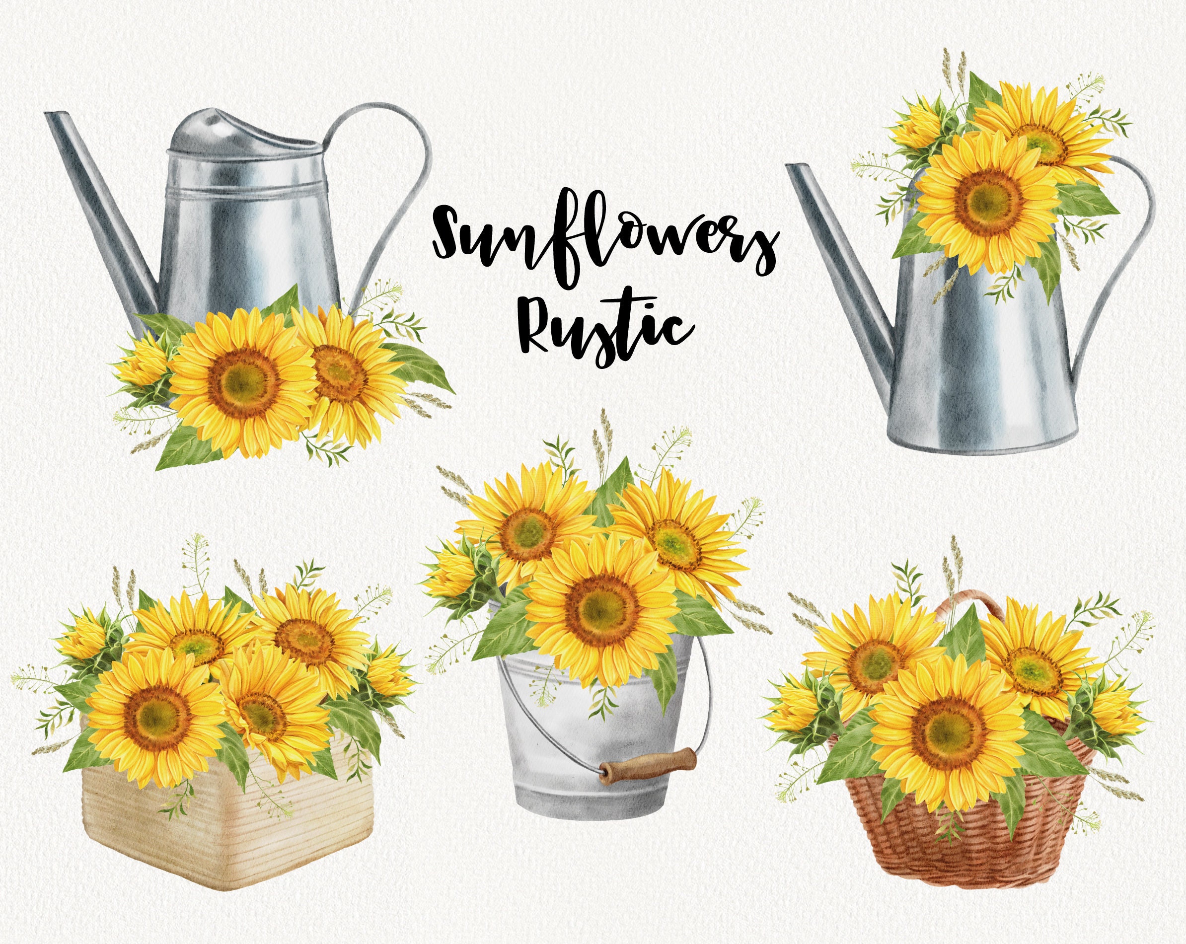 Watercolor Sunflowers Clipart Autumn Rustic Clip Art Fall - Etsy