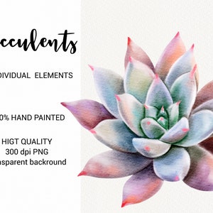 Watercolor Succulent Clipart. Spring Flowers Gardening Boho Plant and ...