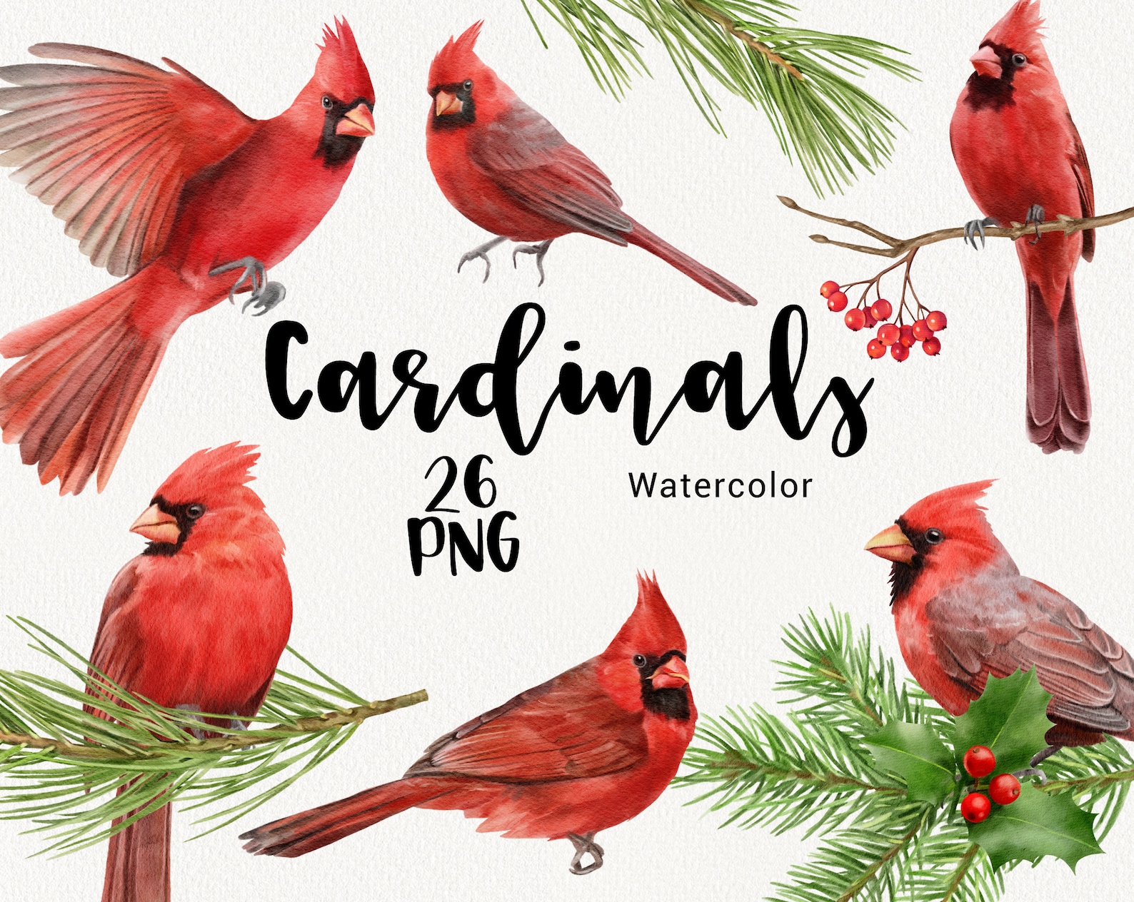 Watercolor Red Cardinals Clipart Christmas Birds Clip Art - Etsy