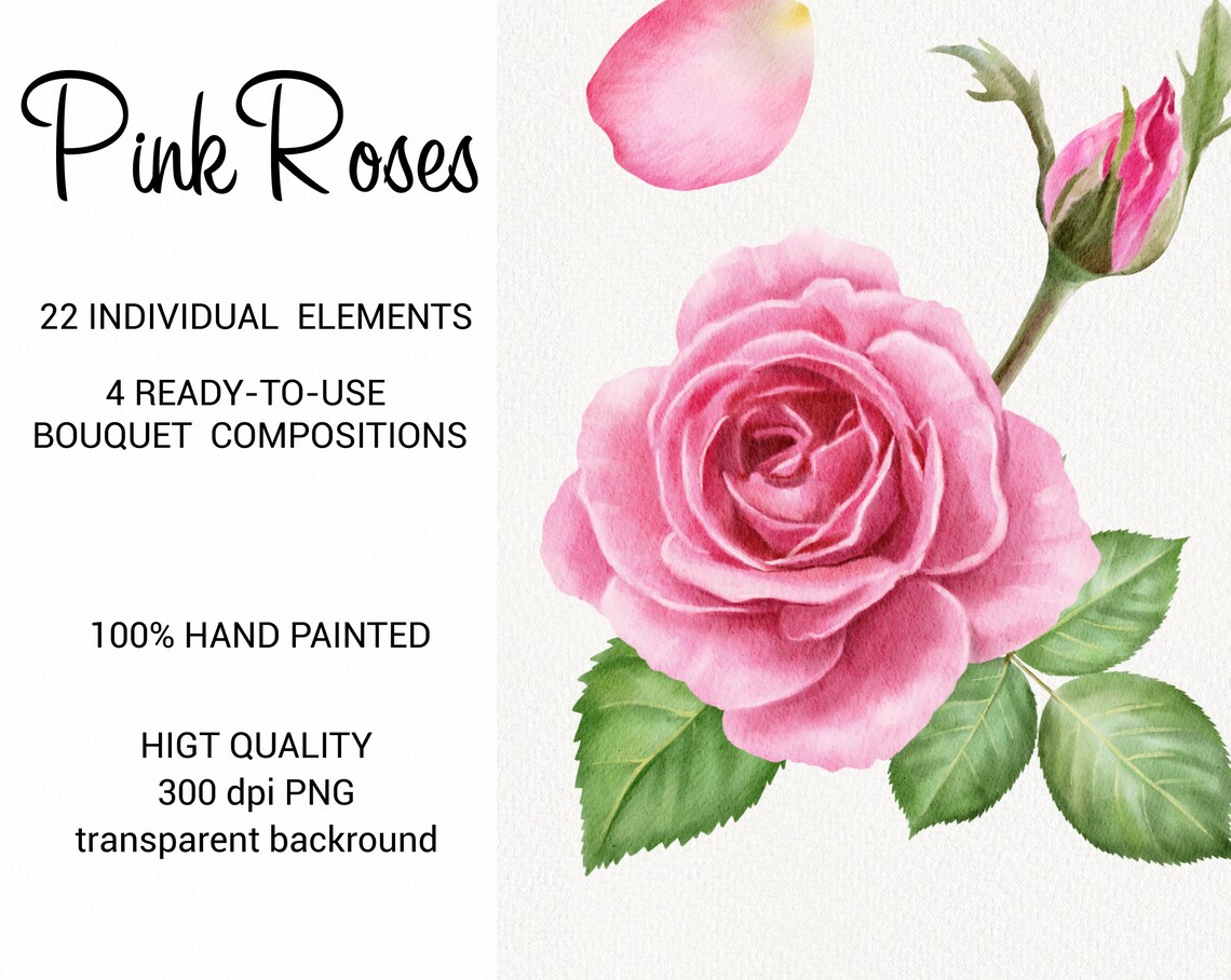 Watercolor Pink Roses Clipart Valentine's Day Flower Clip - Etsy