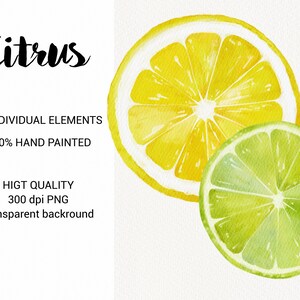 Watercolor Citrus Clipart, Hand Painted Summer Lemon, Orange ...