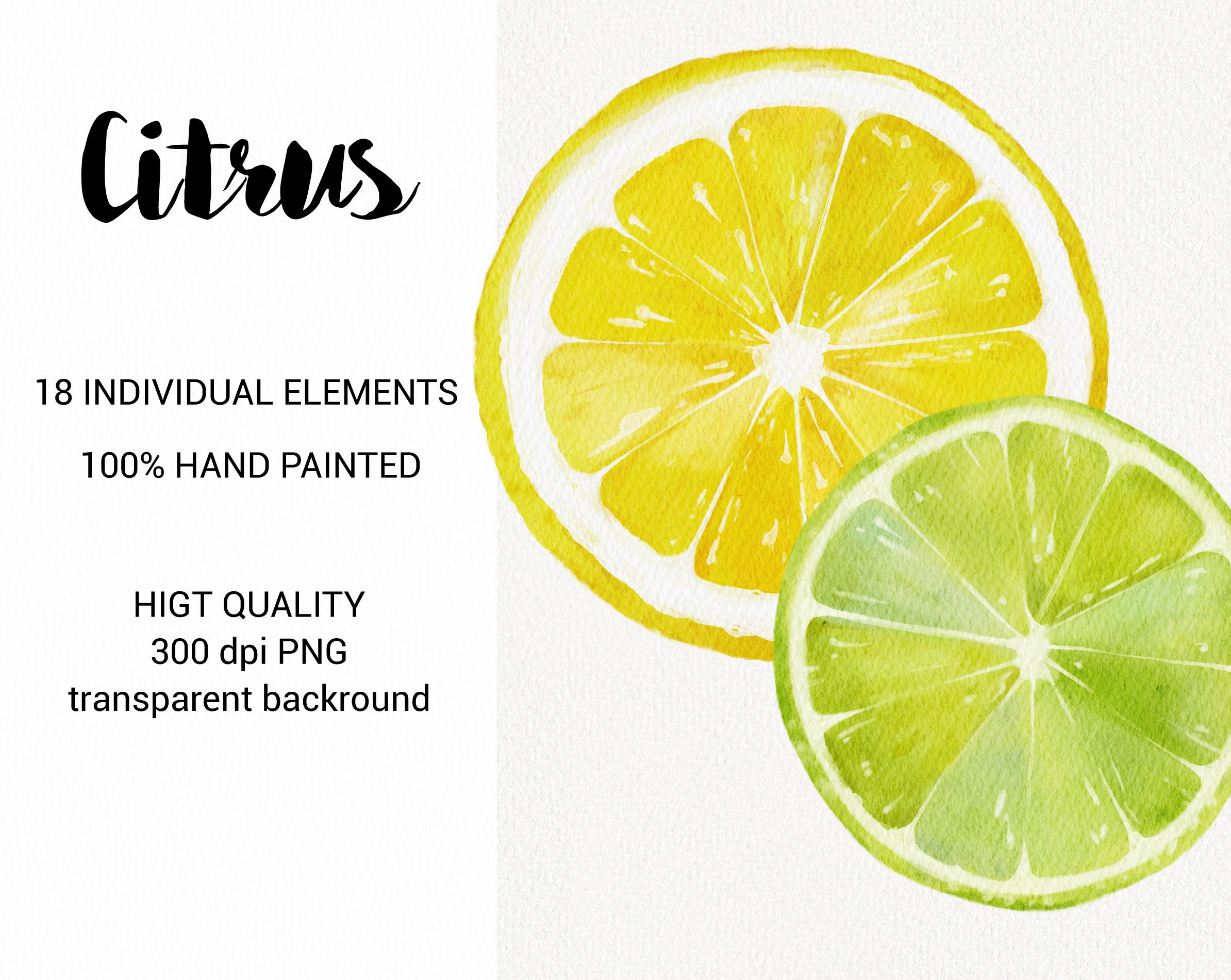 Watercolor Citrus Clipart Hand Painted Summer Lemon Orange - Etsy
