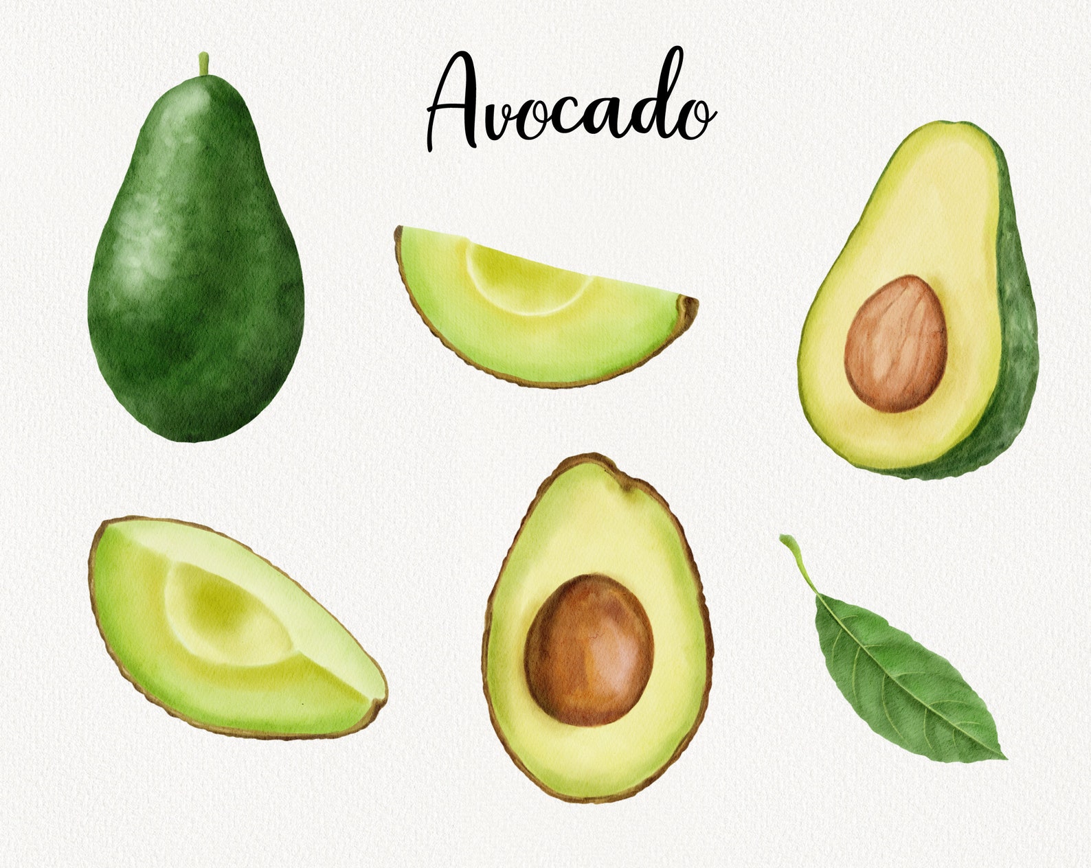 Watercolor Avocado Clipart Tropical Fruit Clipart Summer - Etsy
