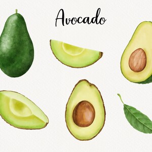 Watercolor Avocado Clipart, Tropical Fruit Clipart, Summer Clip Art ...