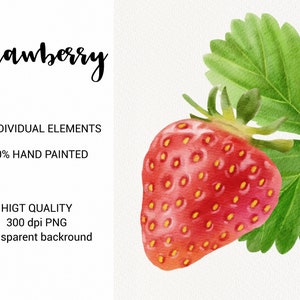 Watercolor Strawberry Clipart, Spring Fruit Clip Art, Summer Fruits ...