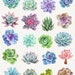 Watercolor Succulent Clipart. Spring Flowers Gardening Boho Plant and ...