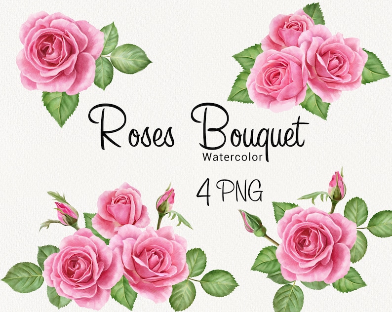 Watercolor Pink Roses Clipart Vintage Flower Bouquet PNG - Etsy
