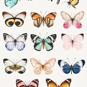 Watercolor Butterfly Clipart, Summer Clip Art, Romantic Butterfly Clip ...