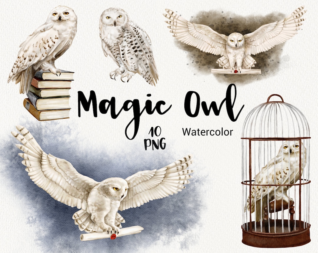 Watercolor Owl Clipart, Magic School, Wizard Clip Art, Hedwig Owl ...