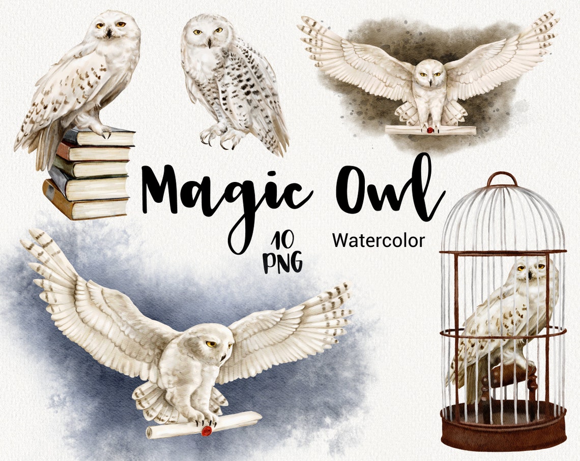 Watercolor Owl Clipart, Magic School, Wizard Clip Art, Hedwig Owl ...