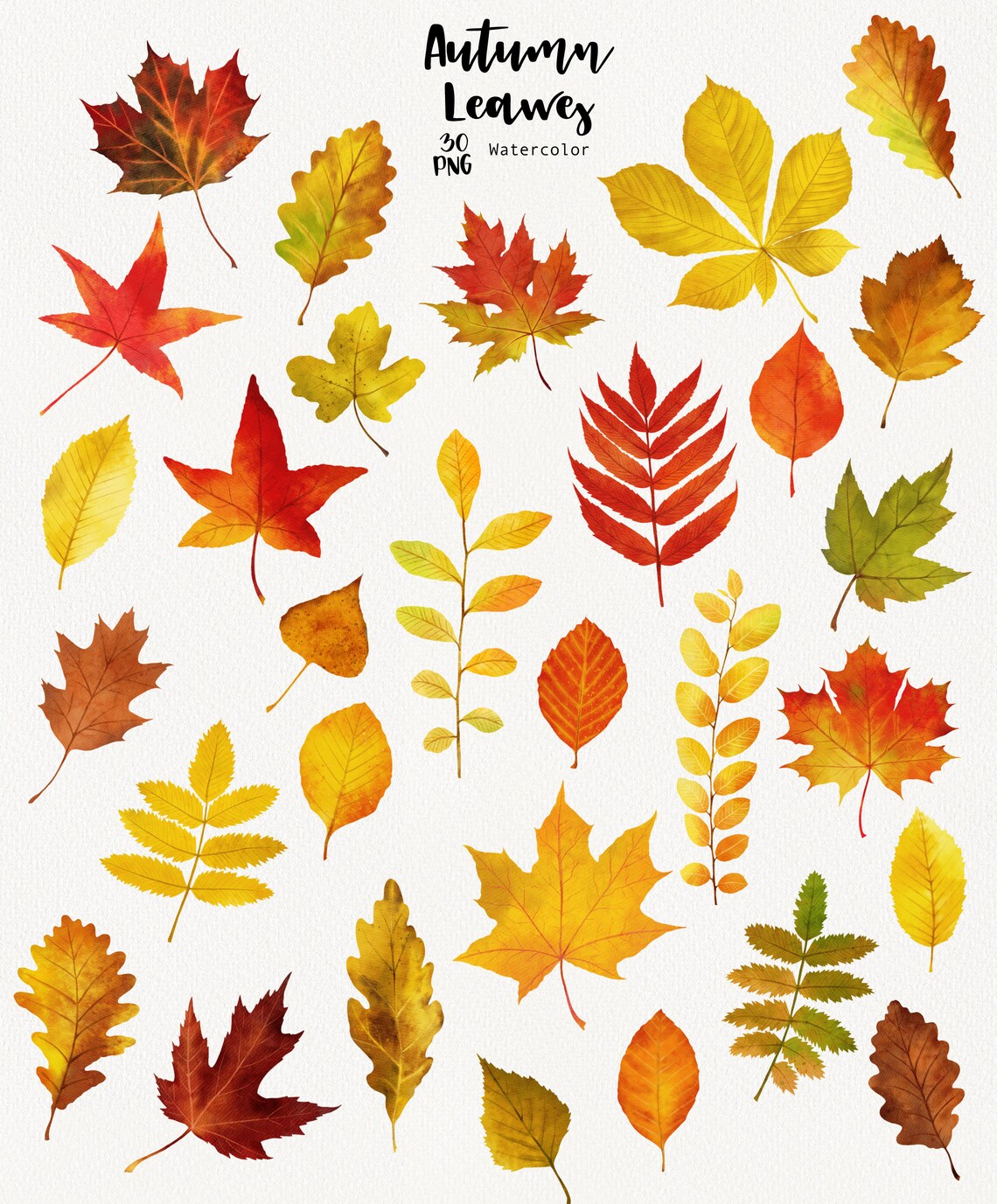 Autumn Leaves Clipart Watercolor Fall Clip Art Orange Green - Etsy