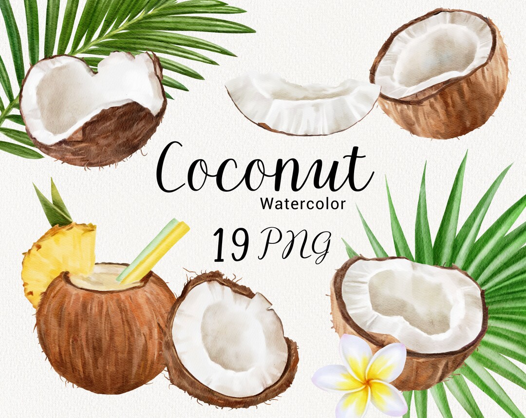 Coconut Watercolor Clipart, Summer Fruit Clip Art, Tropical Leaves ...