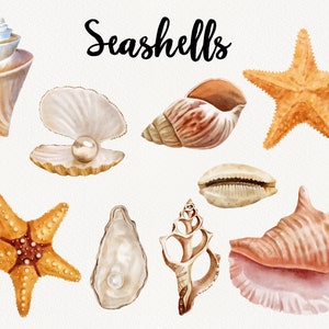 Watercolor Seashells Clipart, Ocean Beach Clip Art, Sea Shells ...