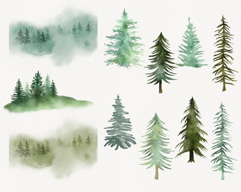 Watercolor Forest Tree Clipart Pine Tree Clipart Woodland - Etsy